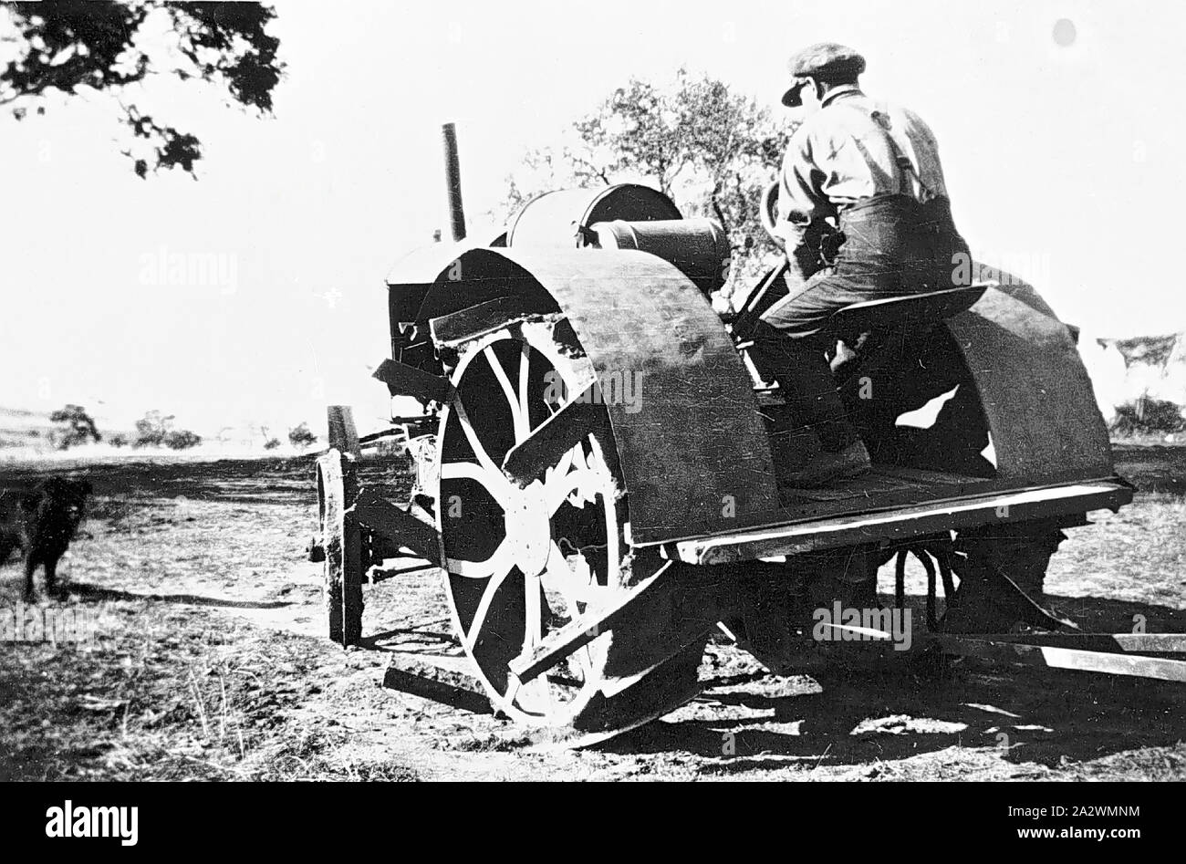 Negative - Man Driving a Tractor, Shelford, Victoria, circa 1920, A man ...