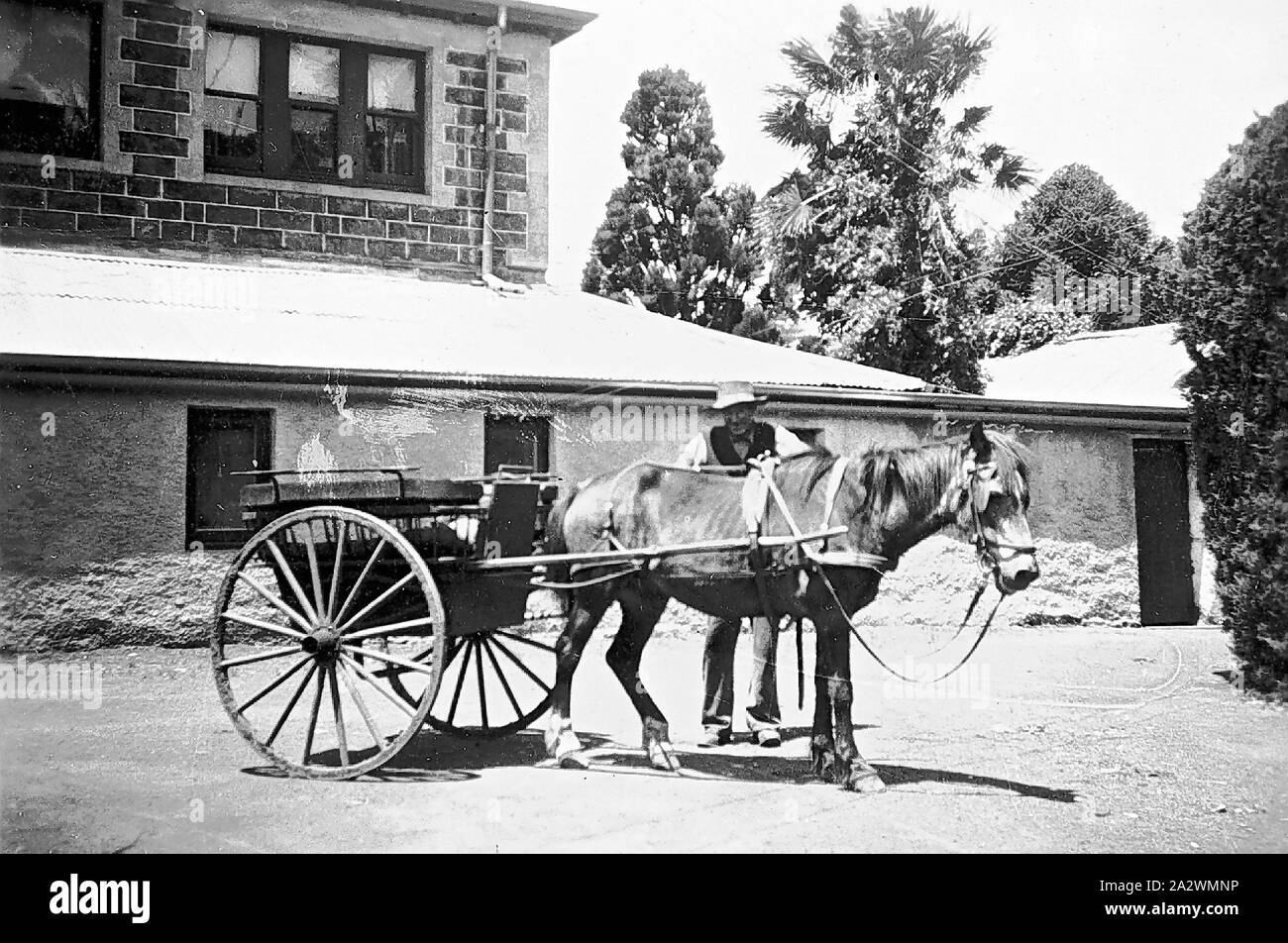 Negative - Man With Horse & Carriage Outside a Stone Building, Shelford ...