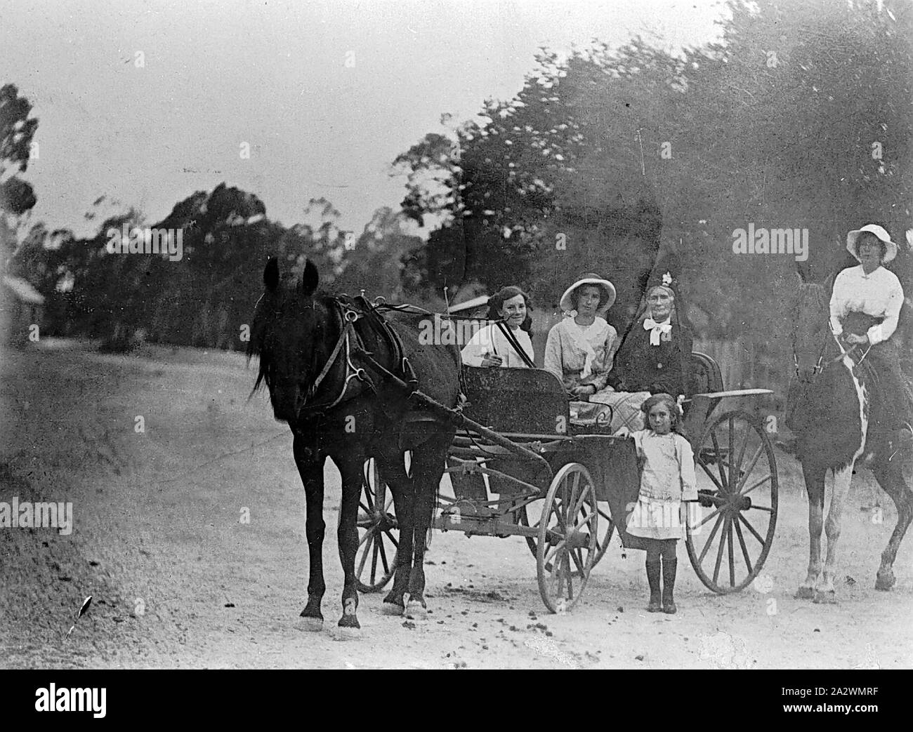 Negative - Group of Women With Horse Drawn Carriage, Avoca, Victoria ...