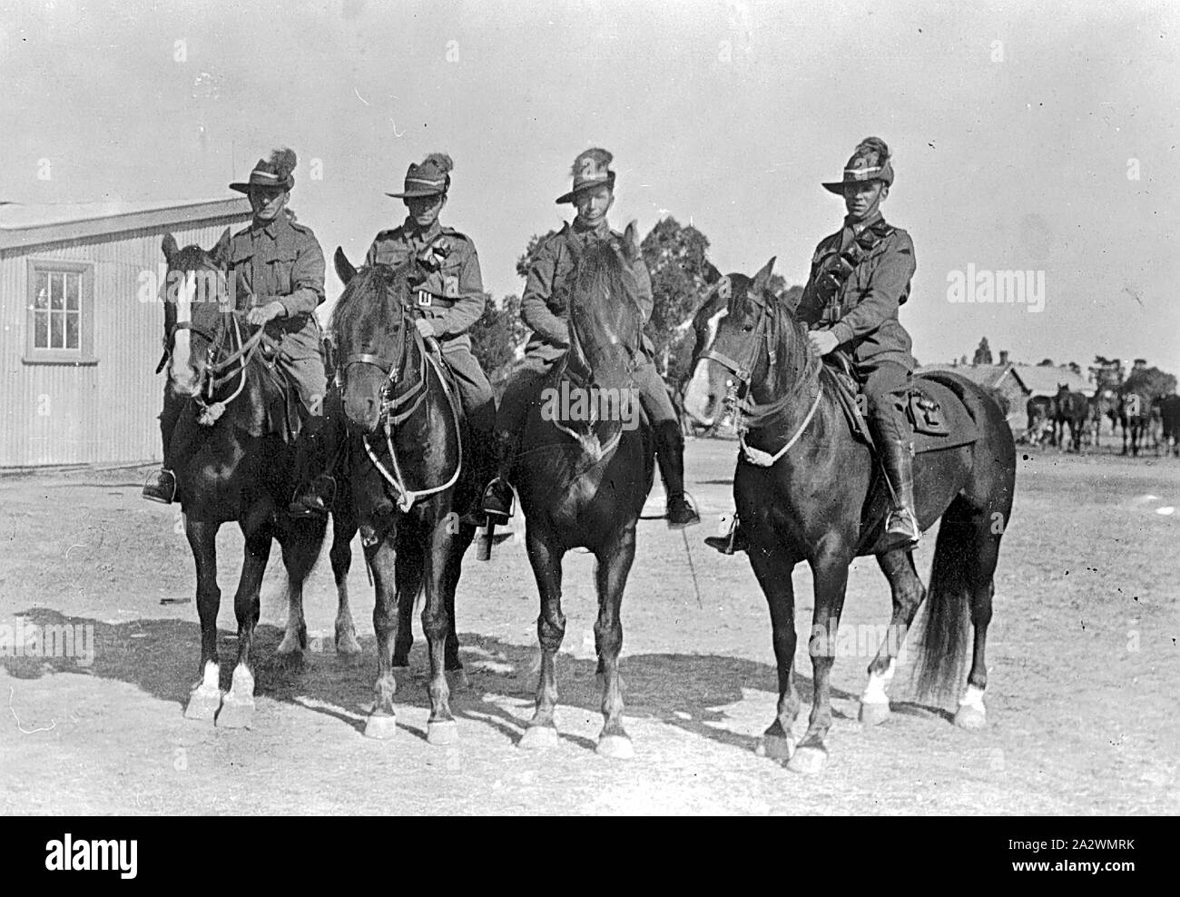 Light horse brigade hi-res stock photography and images - Alamy