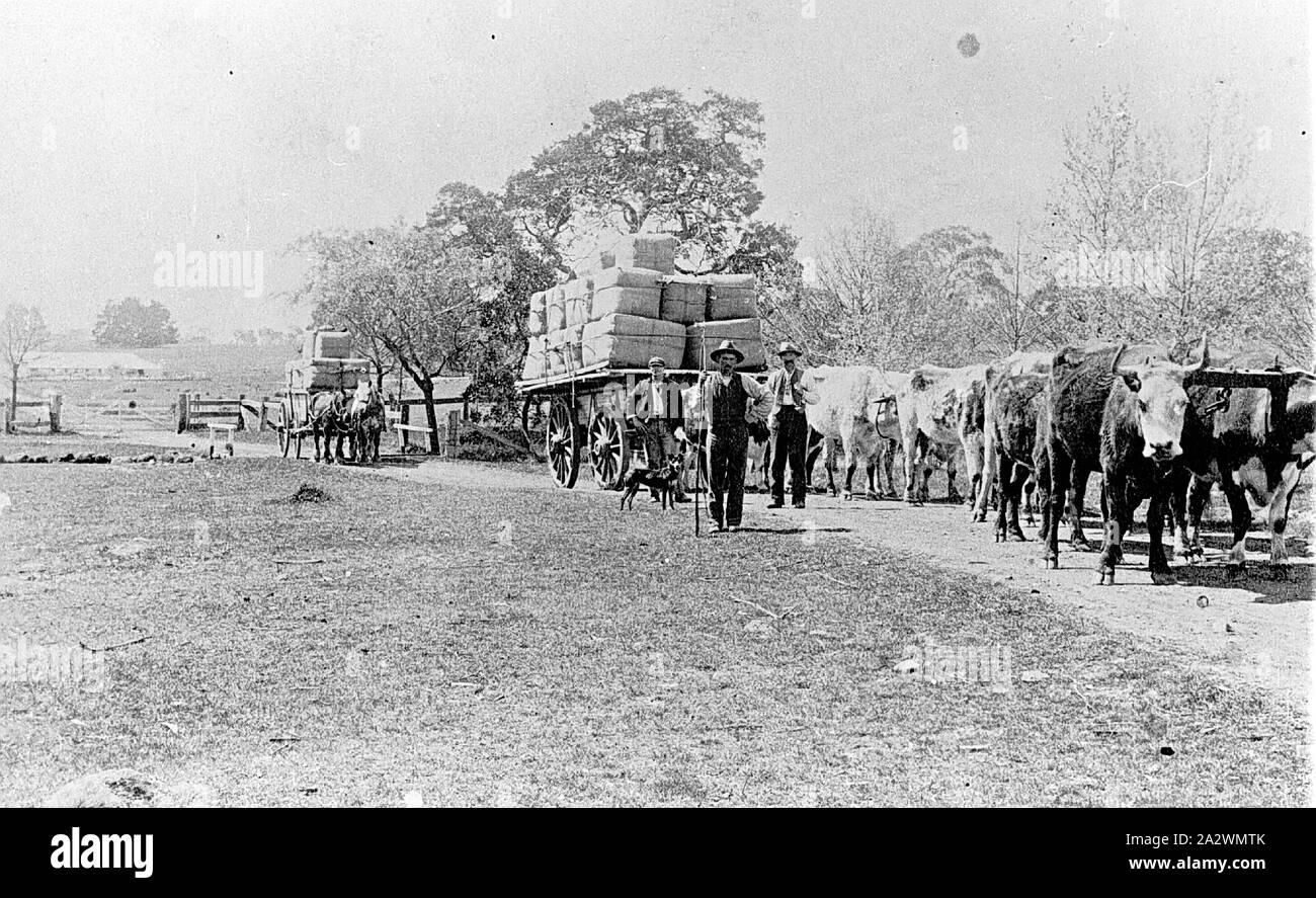 Langi kal kal hi-res stock photography and images - Alamy