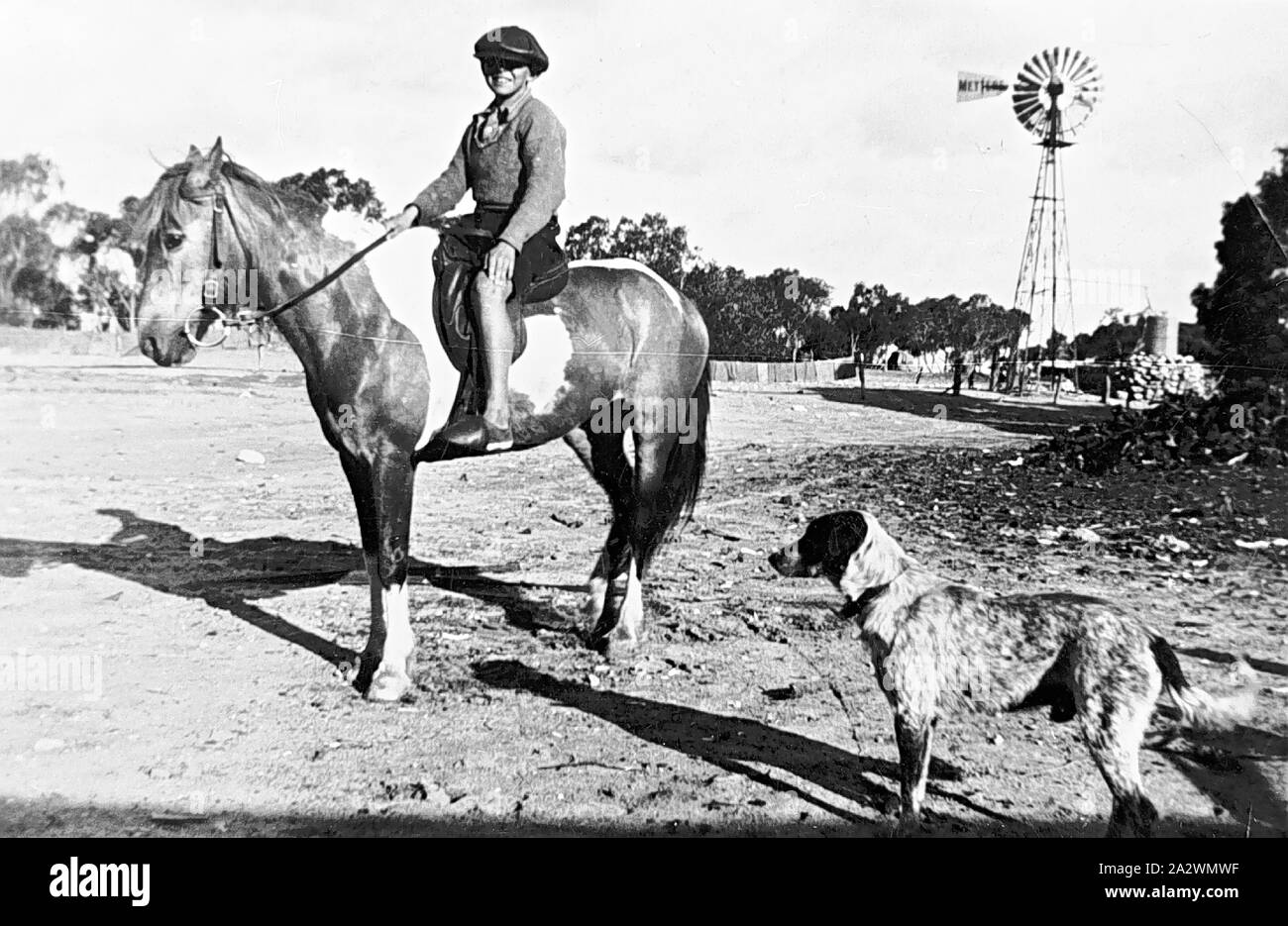 Negative - Boy on Horseback Accompanied by his Dog, Karoonda, South ...
