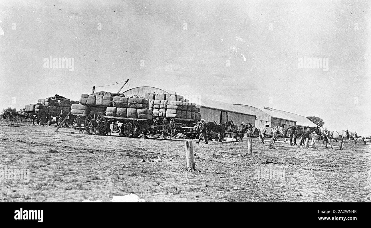 Negative - Loading Wagons at 'Portland Downs' Station, Isisford ...