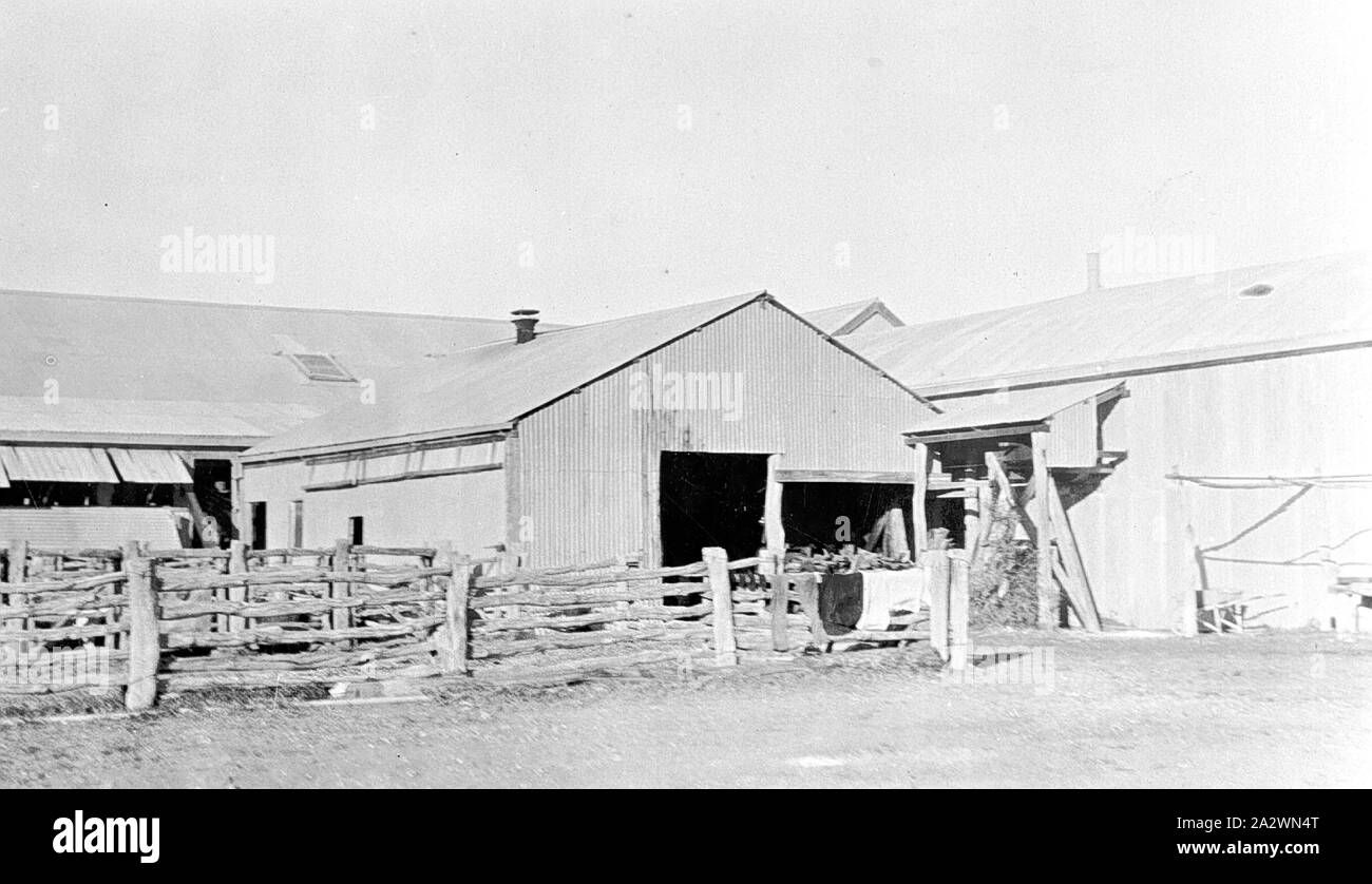 Negative - Woolshed at 'Portland Downs' Station, Isisford District ...