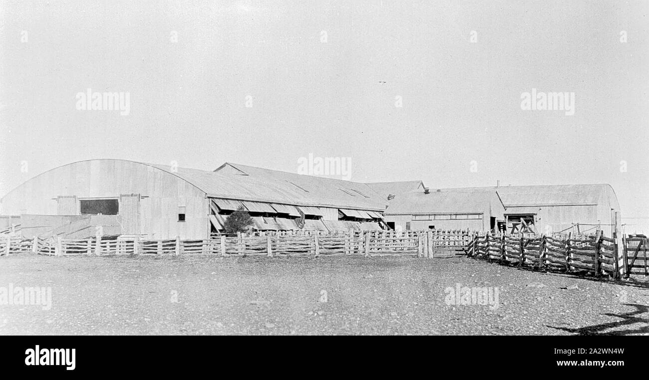 Negative - Woolshed at 'Portland Downs' Station, Isisford District ...