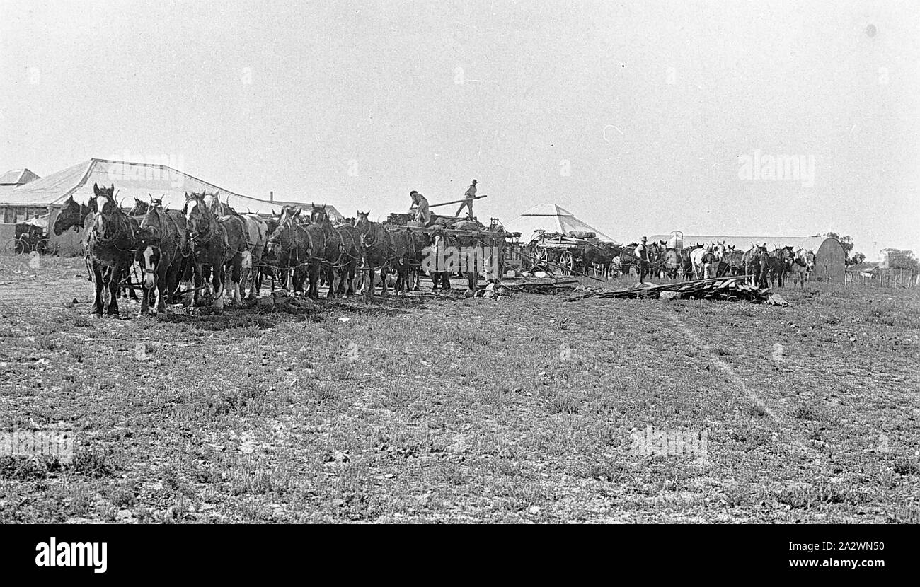 Negative - Men Unloading Timber From Horse-Drawn Wagons on 'Portland ...