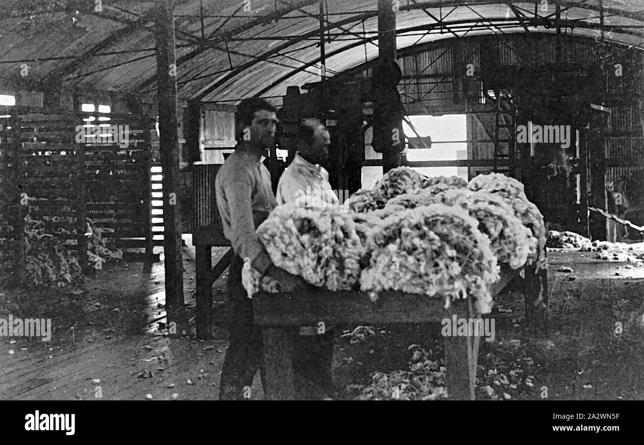 Negative - Men With Fleeces Inside a Woolshed on 'Portland Downs ...