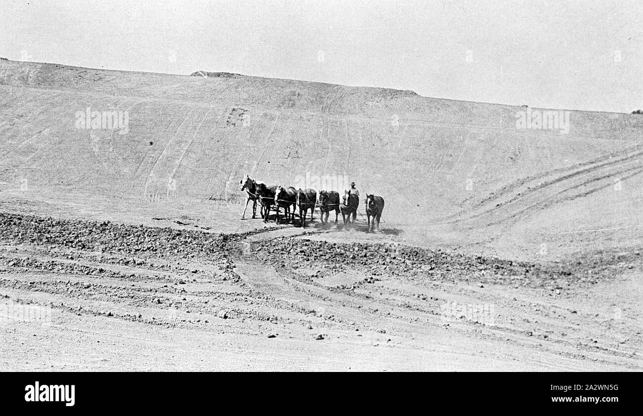 Negative - Excavating a Dam With a Horse Drawn Scoop on 'Portland Downs ...