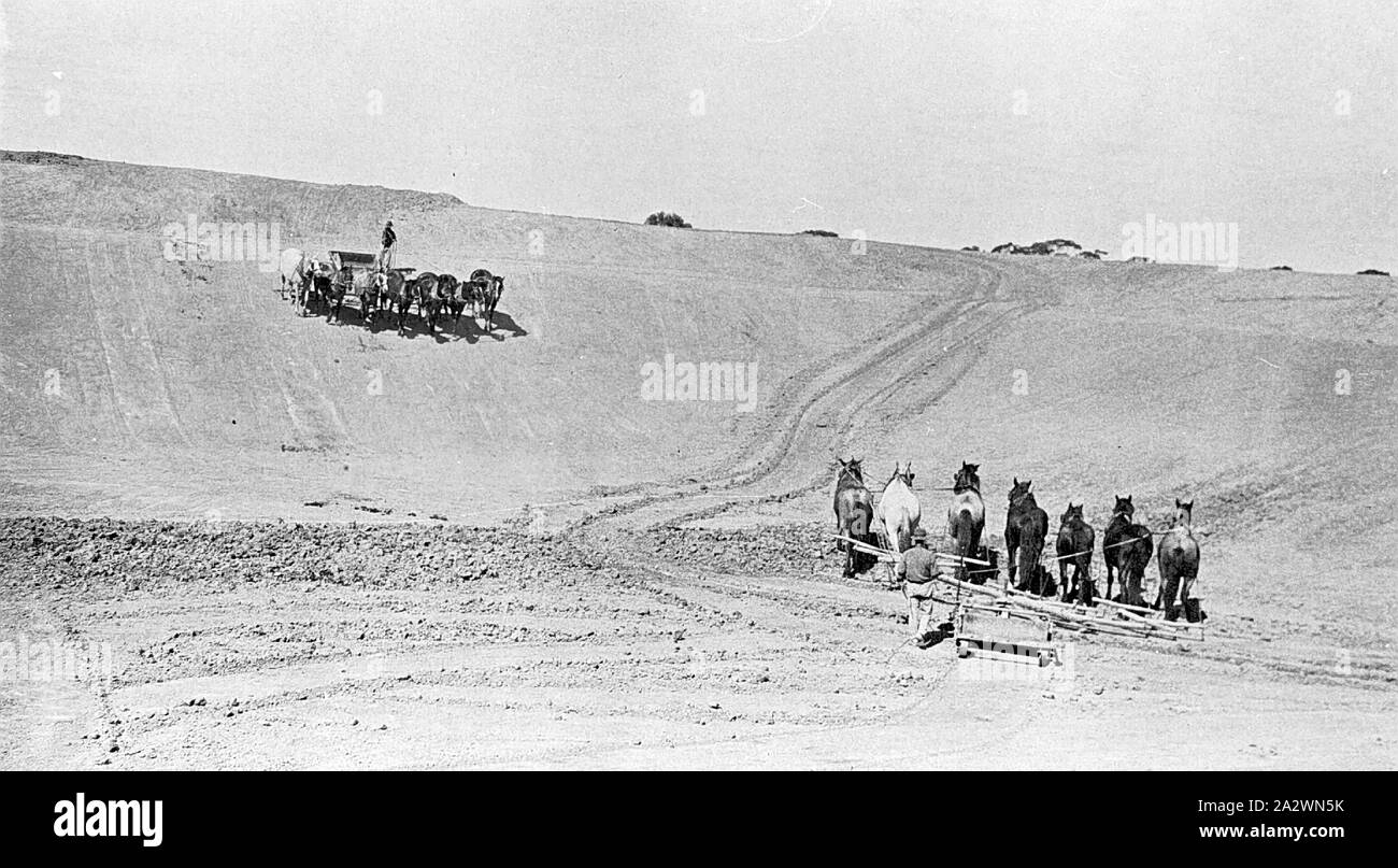 Negative - Excavating a Dam With a Horse Drawn Scoop on 'Portland Downs ...