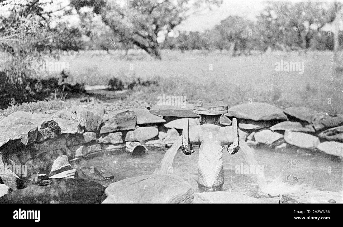 Negative - Bore Outlet on 'Portland Downs' Station, Isisford District ...