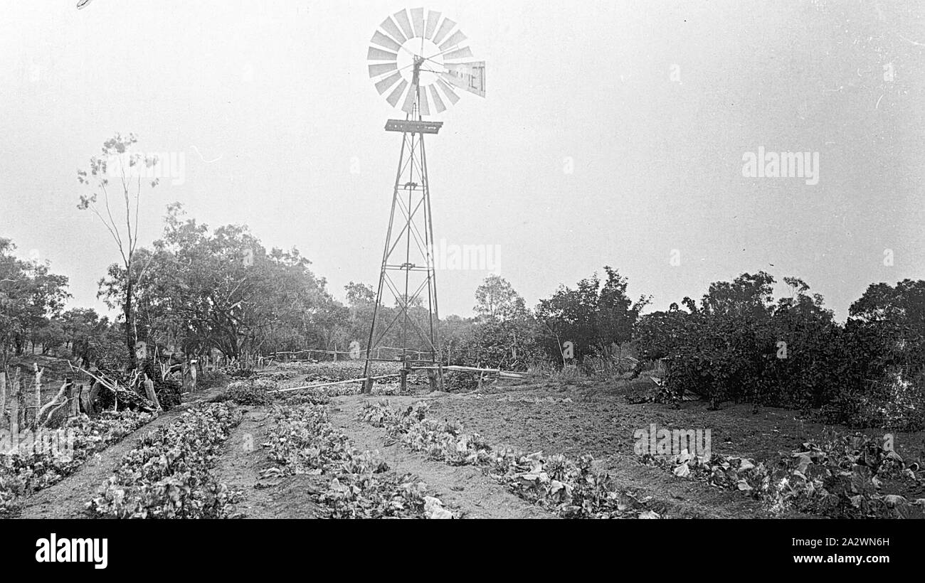 Queensland gardener hi-res stock photography and images - Alamy