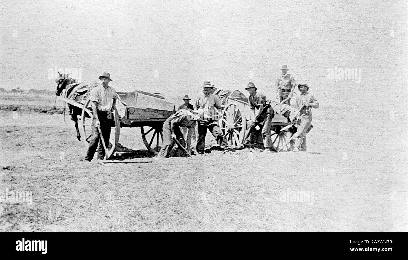 Negative - Men Digging a Drain, Victoria (?), circa 1925, A group of ... Negative - Men Digging a Drain, Victoria (?), circa 1925, A group of ...