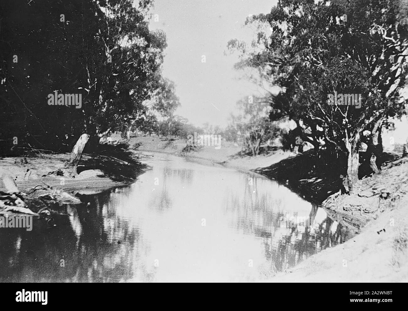 Negative - Edwards River, Moulamein District, New South Wales, circa ...