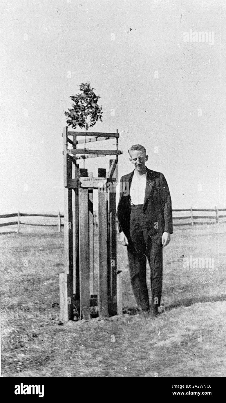 Negative - Alan Lawrie Standing Next to his Tree in the Avenue of ...