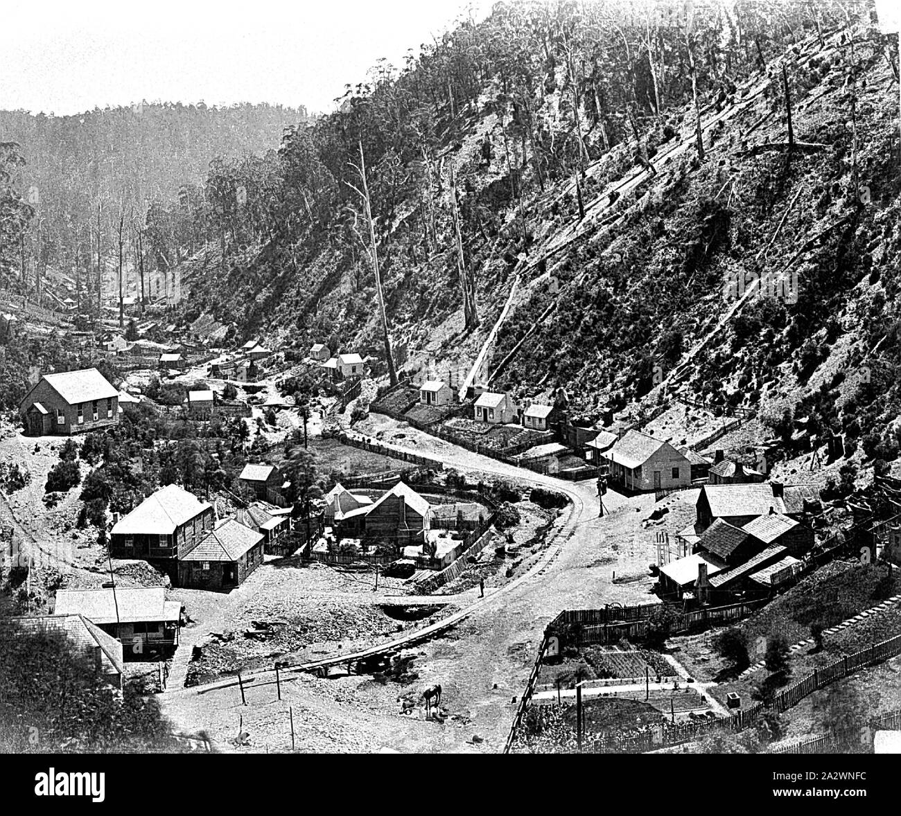 Negative - Southern View, Walhalla, Victoria, circa 1875, Walhalla ...