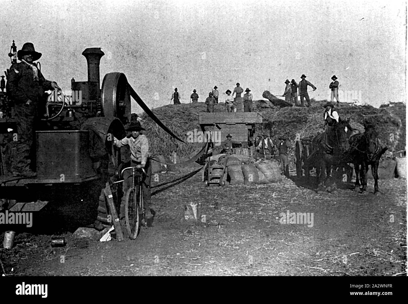 Negative - Threshing Time on 'Ivy Rock' Station, Addington, Victoria ...