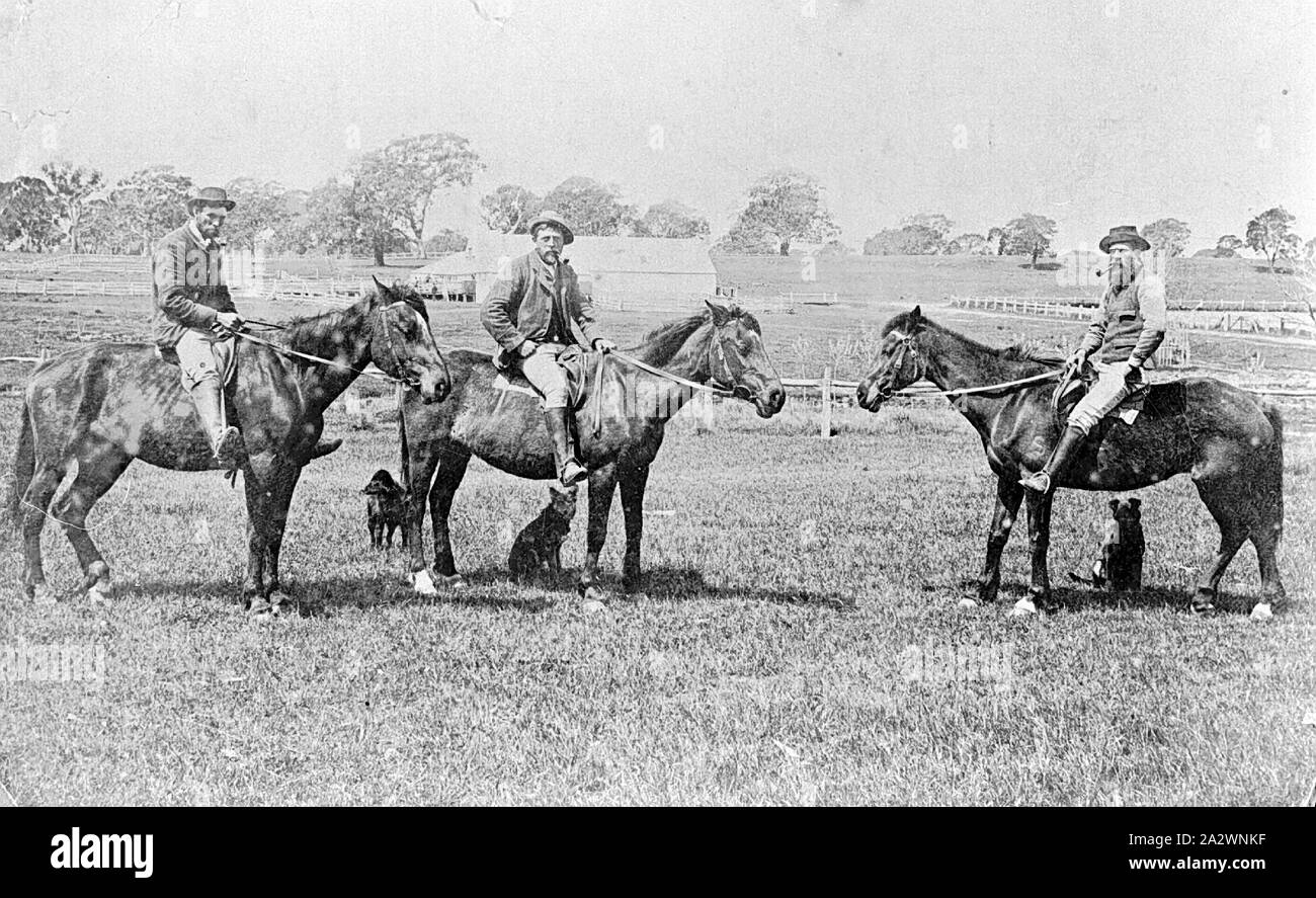 Langi kal kal hi-res stock photography and images - Alamy