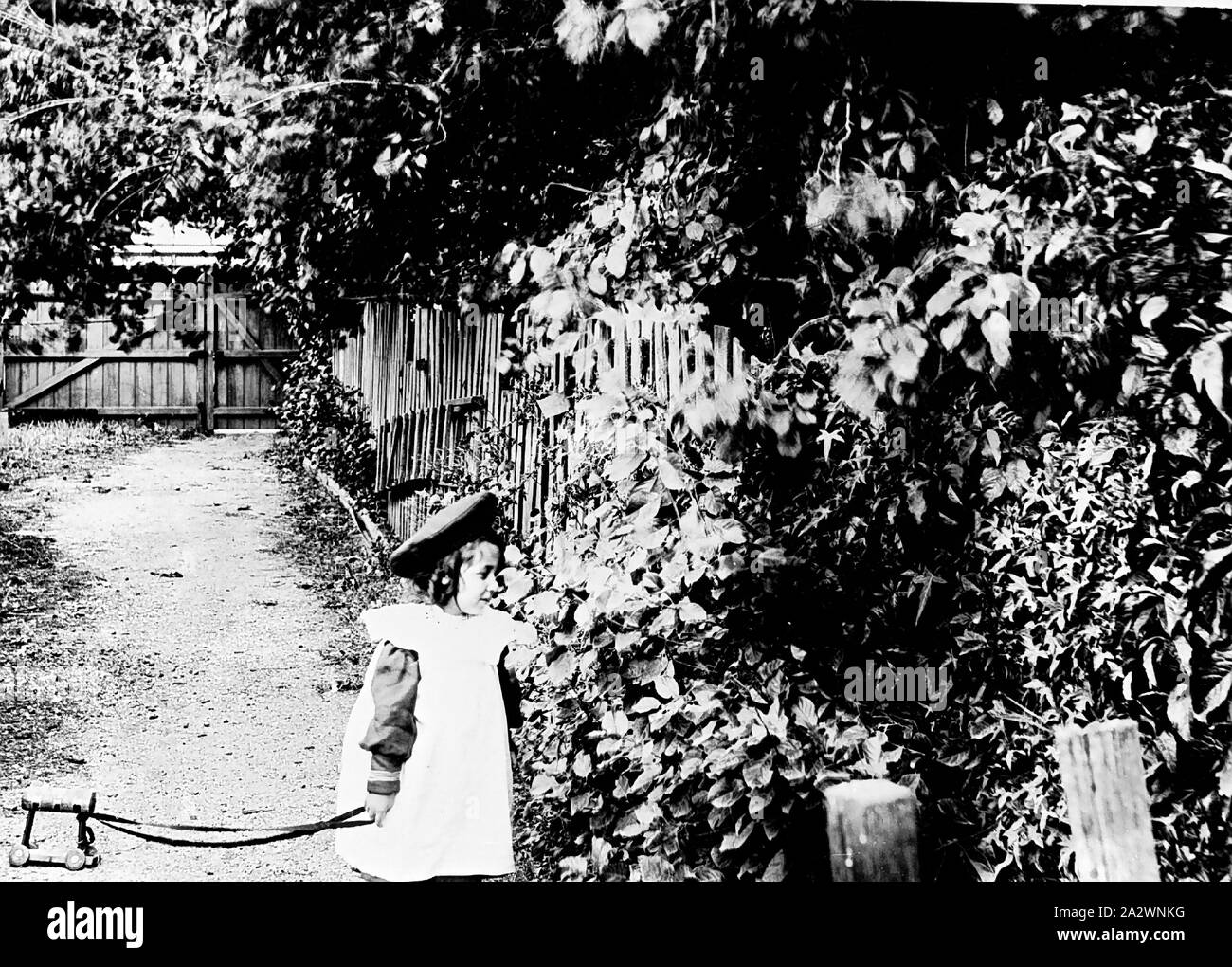 Liddon thomas hi-res stock photography and images - Alamy