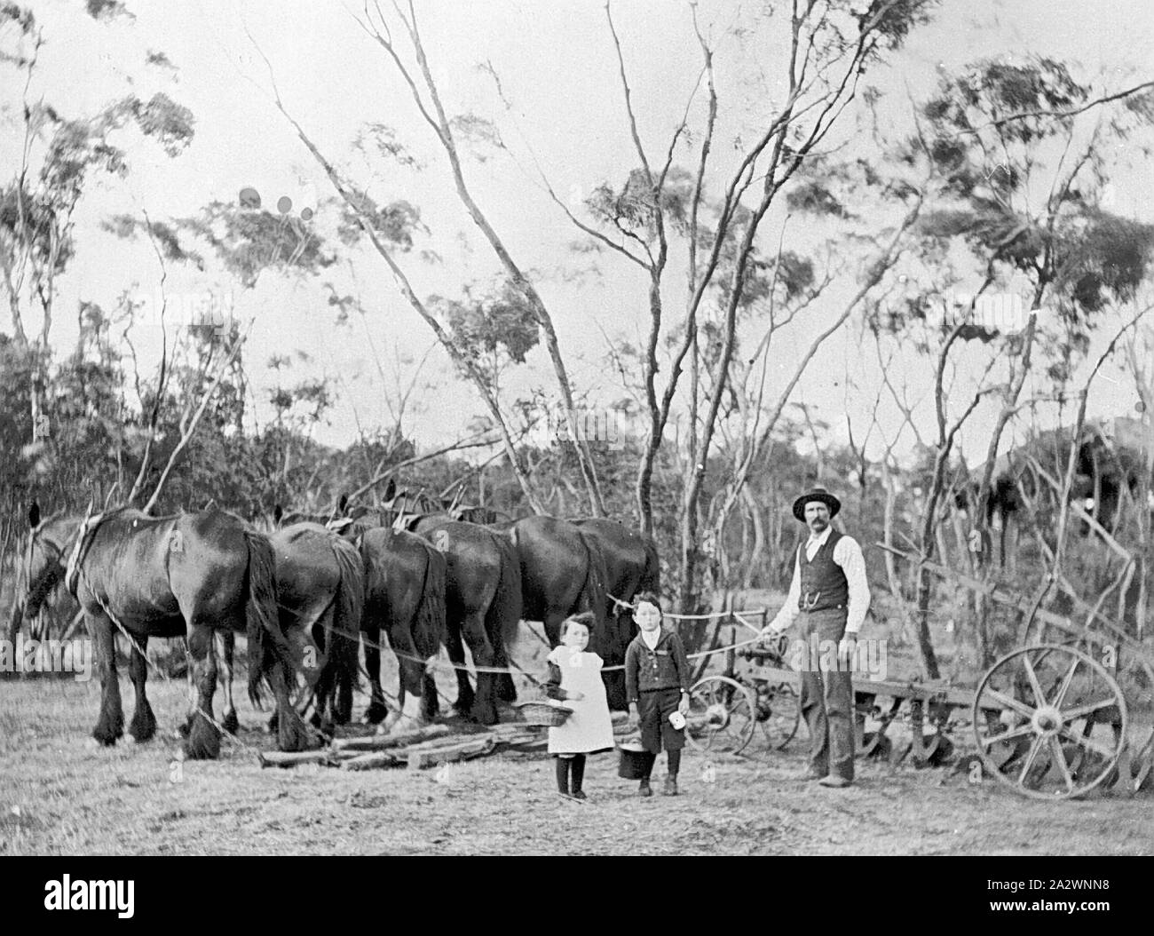 Negative - Hopetoun, Victoria, circa 1895, Two children and their ...