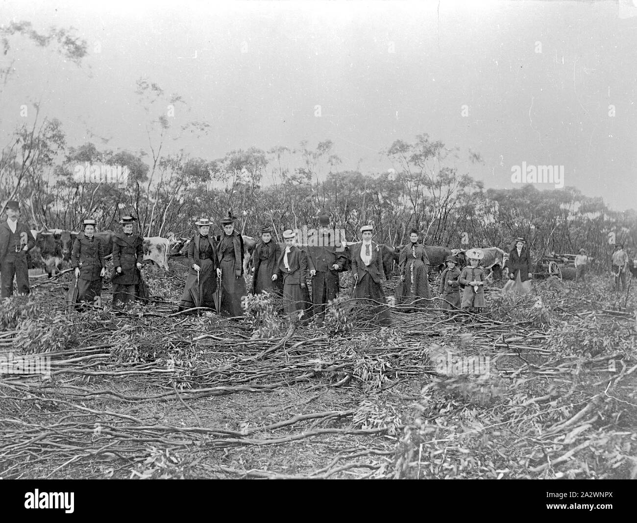 Negative - Lah District, Victoria, 1897, A group of men and women in ...