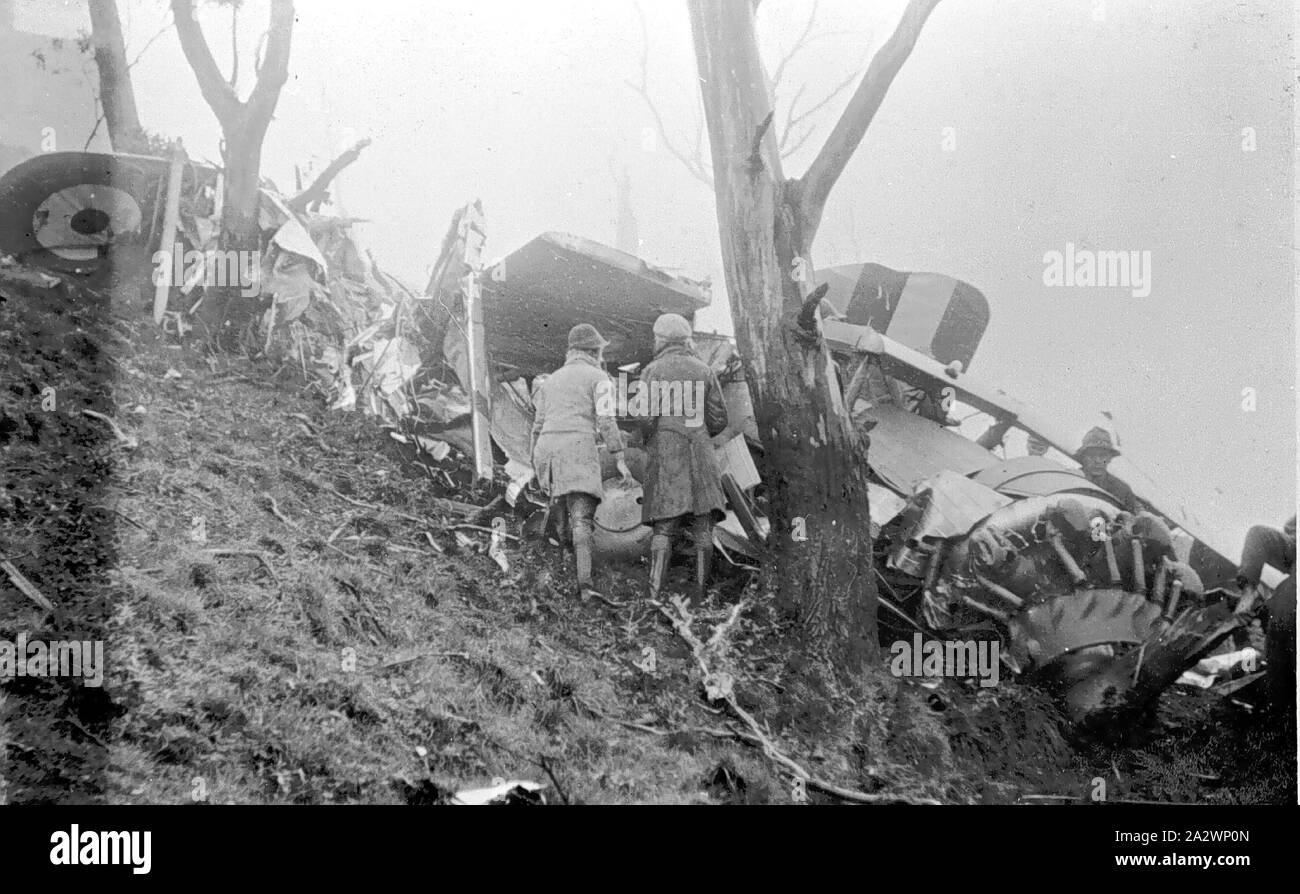 Biplane Tree Crash