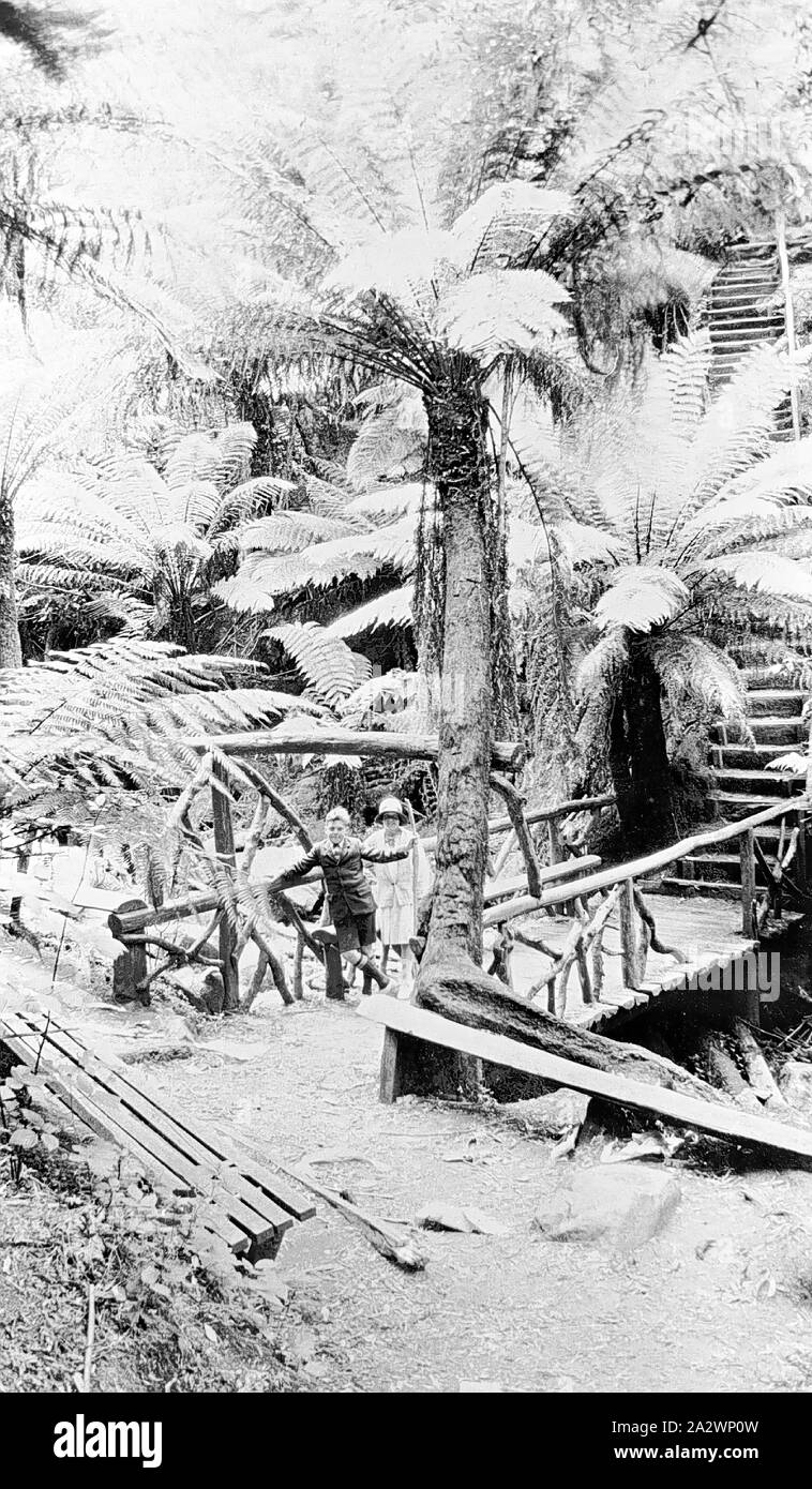 Negative - Ferntree Gully, Victoria, 1928, A boy and girl on a bridge ...