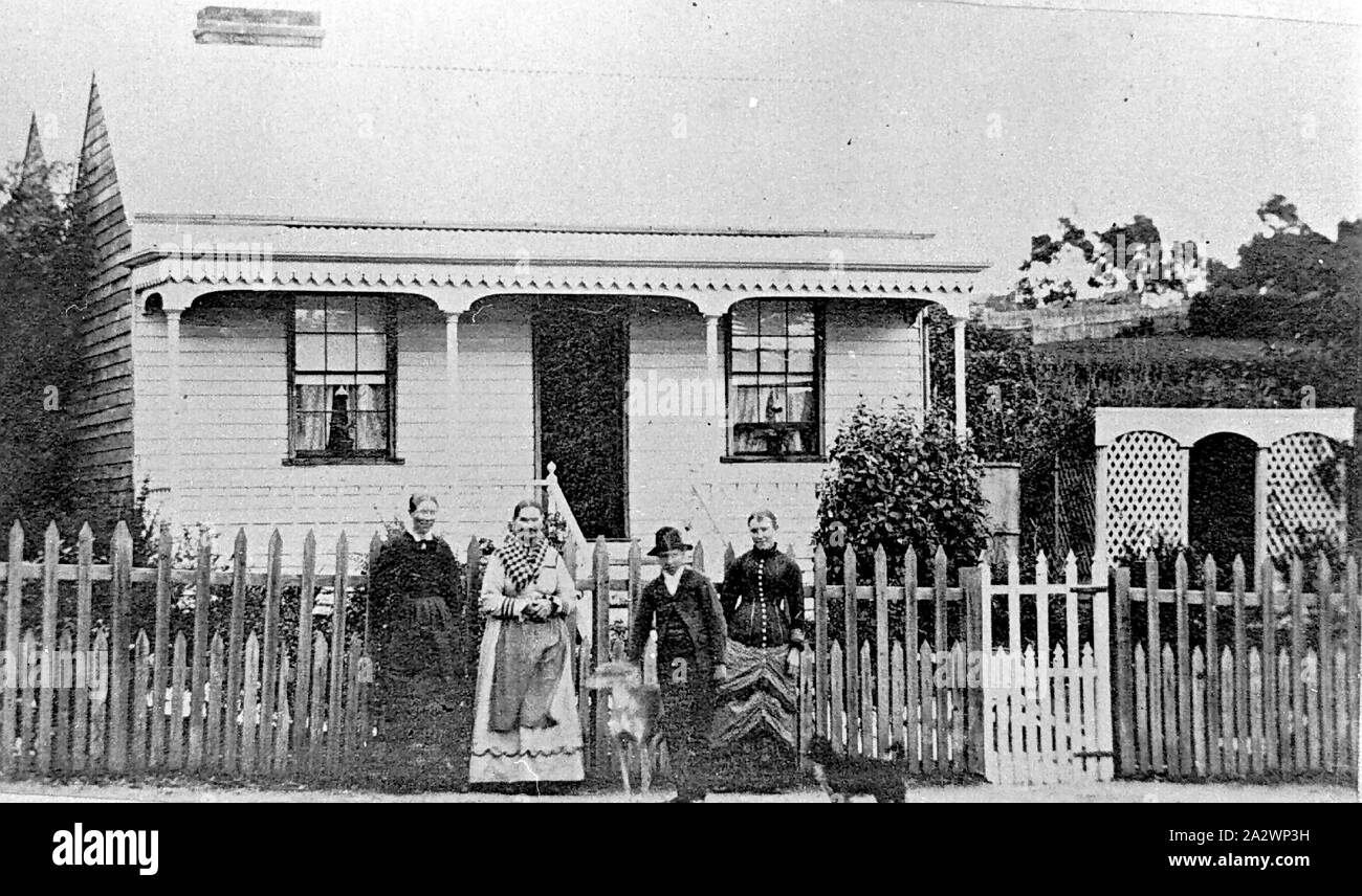 Negative - Linton District (?), Victoria, circa 1880, A family group ...