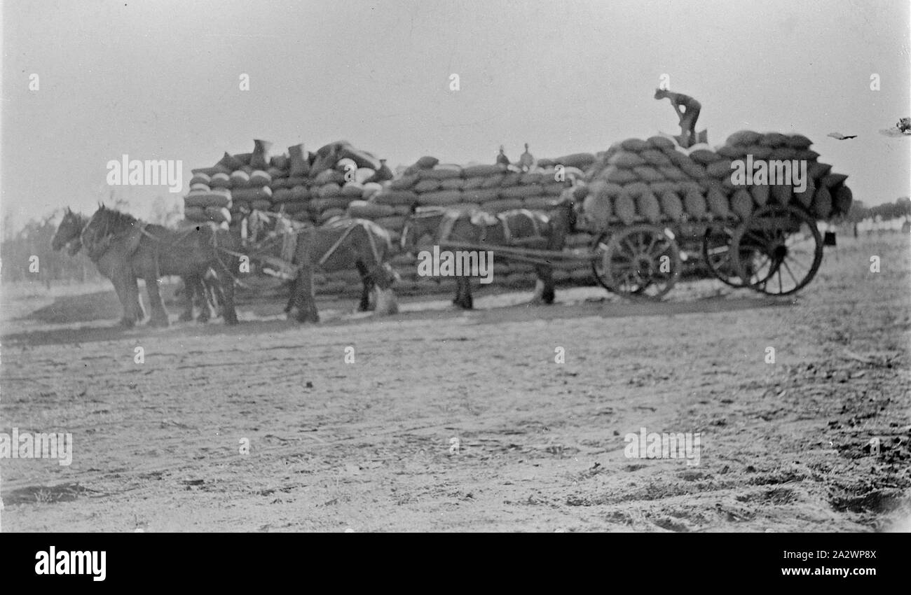 Negative - Berriwillock, Victoria, circa 1920, The biggest load of ...