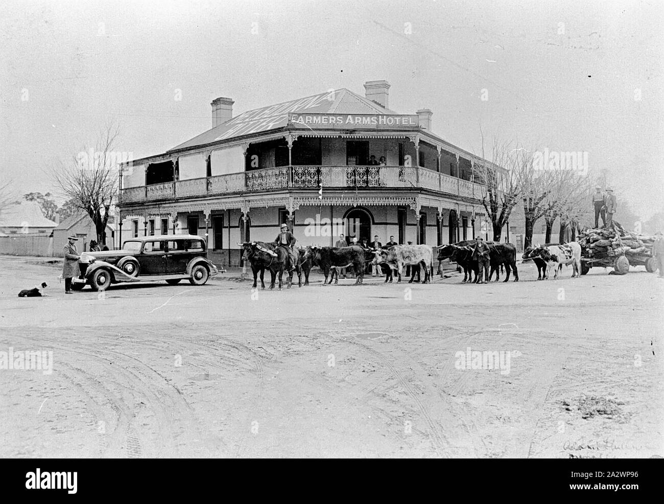 Negative - Benalla, Victoria, pre 1940, A bullock team and car outside ...