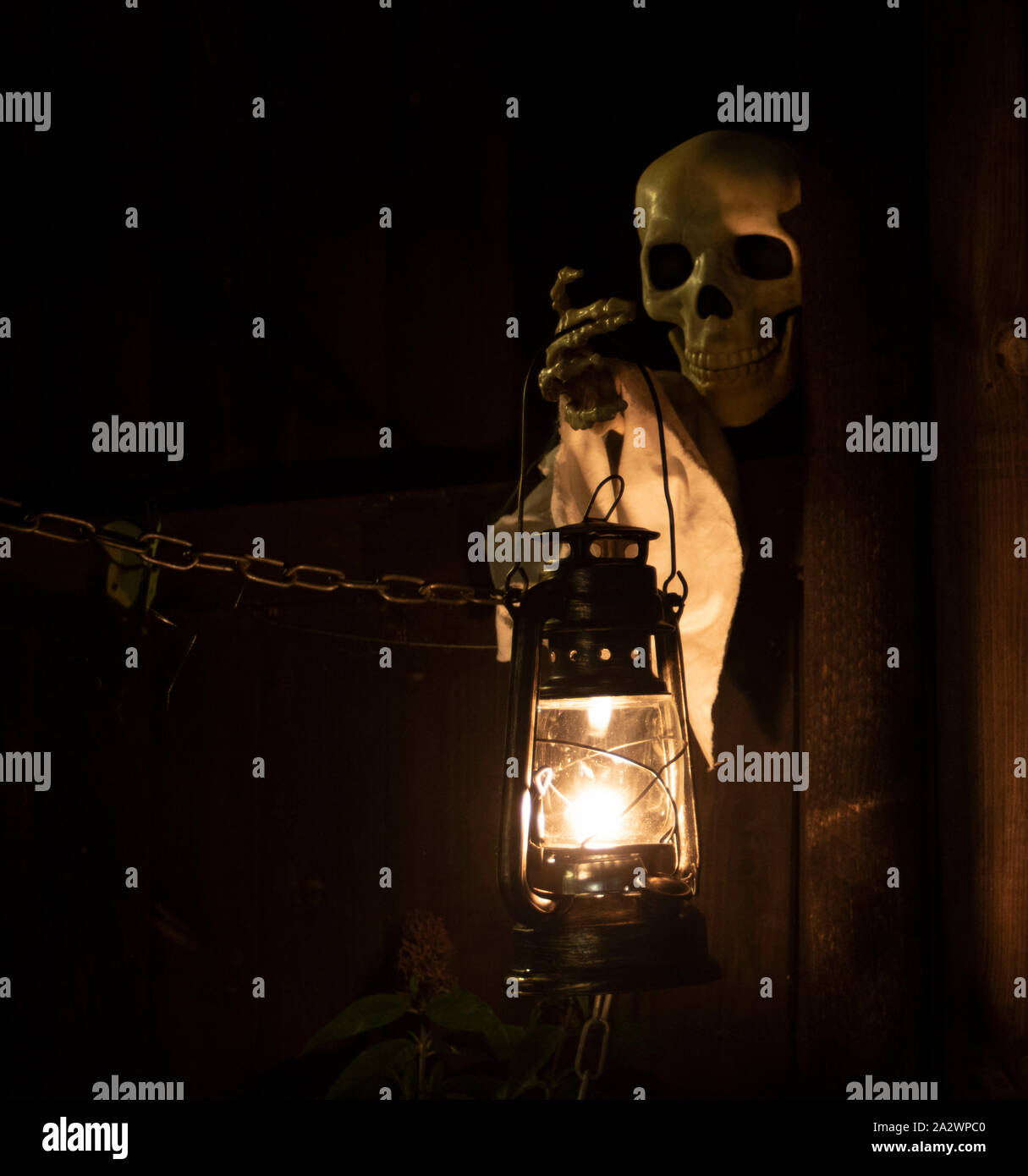 Skeleton holding hi-res stock photography and images - Alamy
