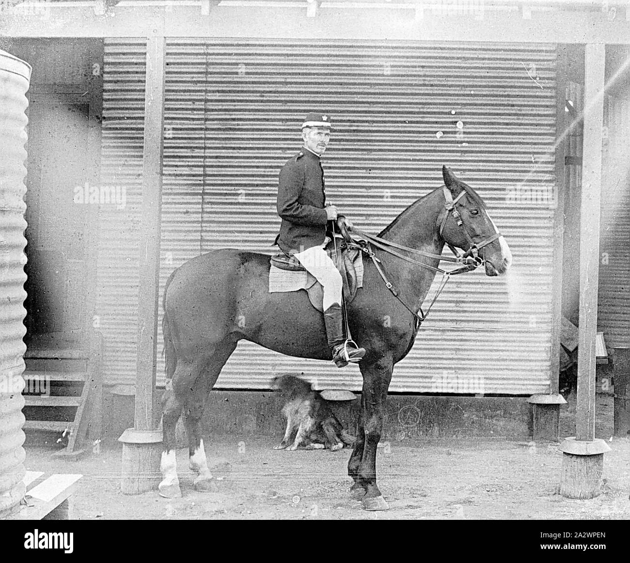First mounted policeman hi-res stock photography and images - Alamy