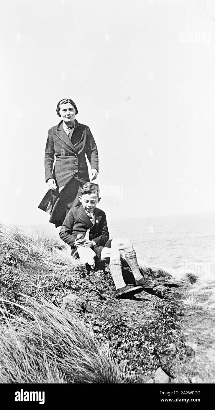 Phillip island victoria penguin hi-res stock photography and images - Alamy