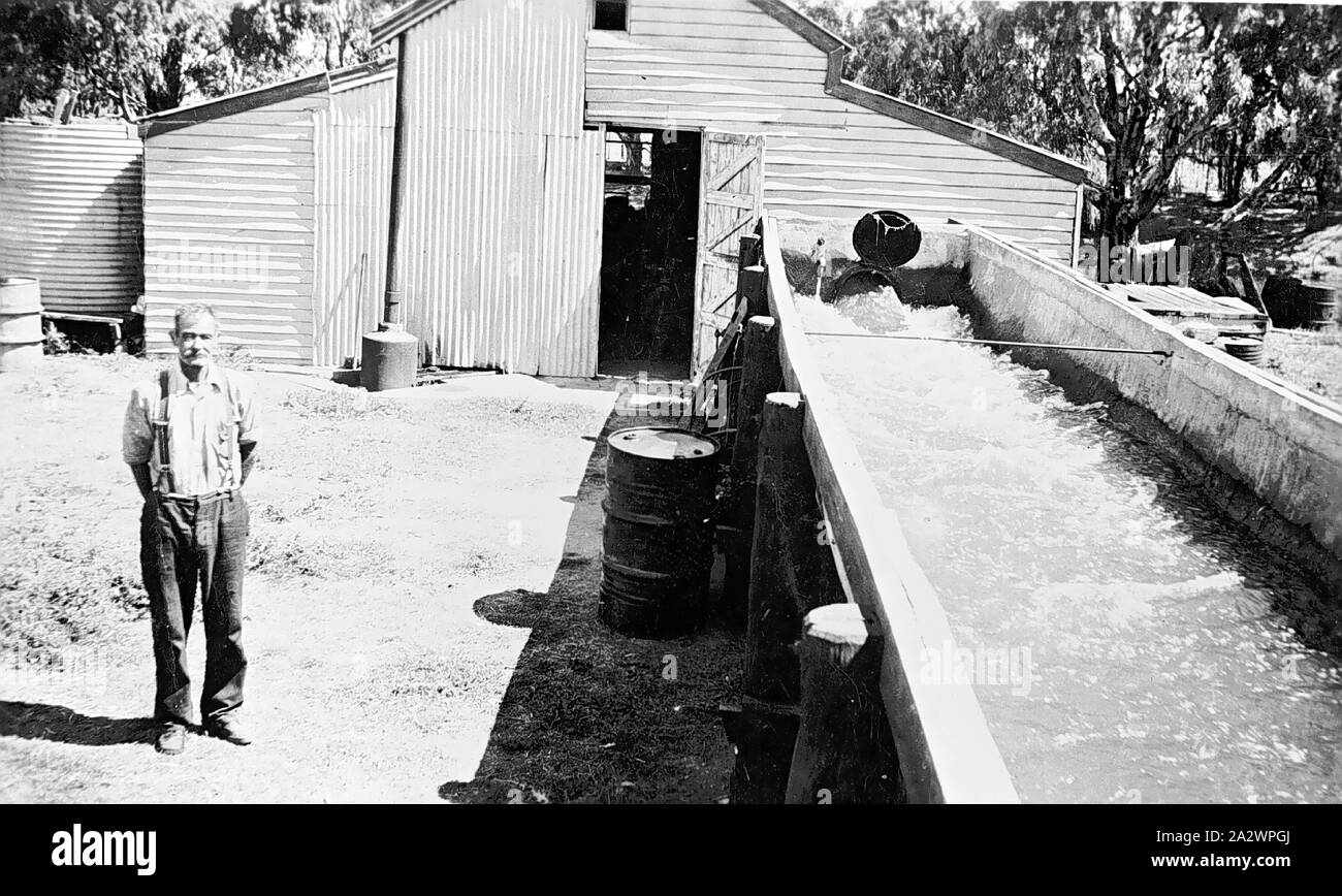 Negative - Mildura District, Victoria, 1937, The pumping station at ...