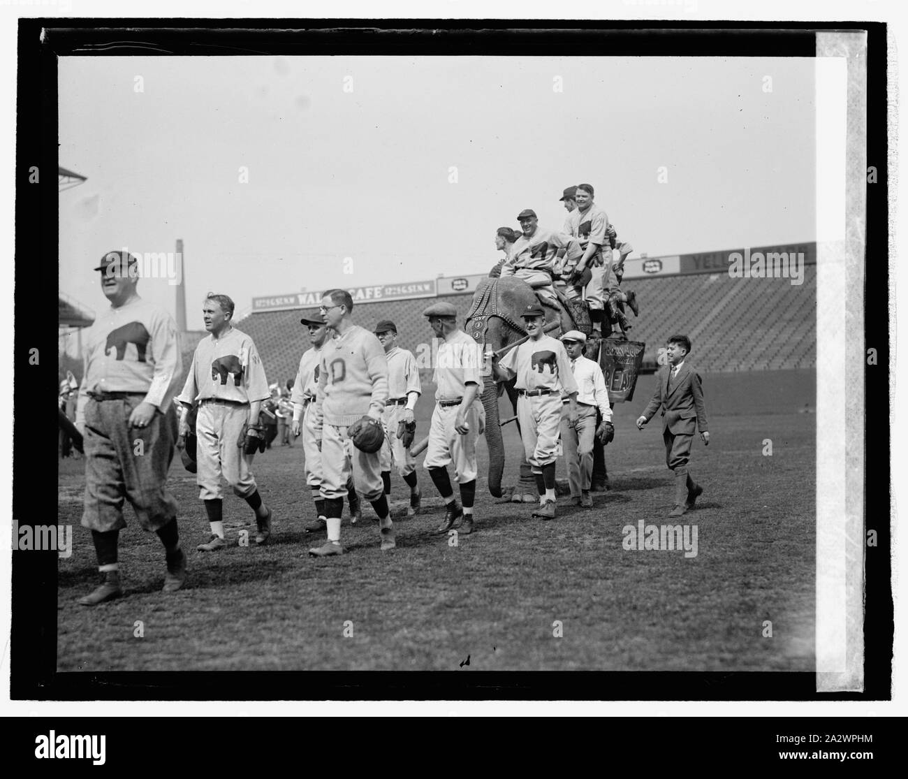 5 dem Black and White Stock Photos & Images - Alamy