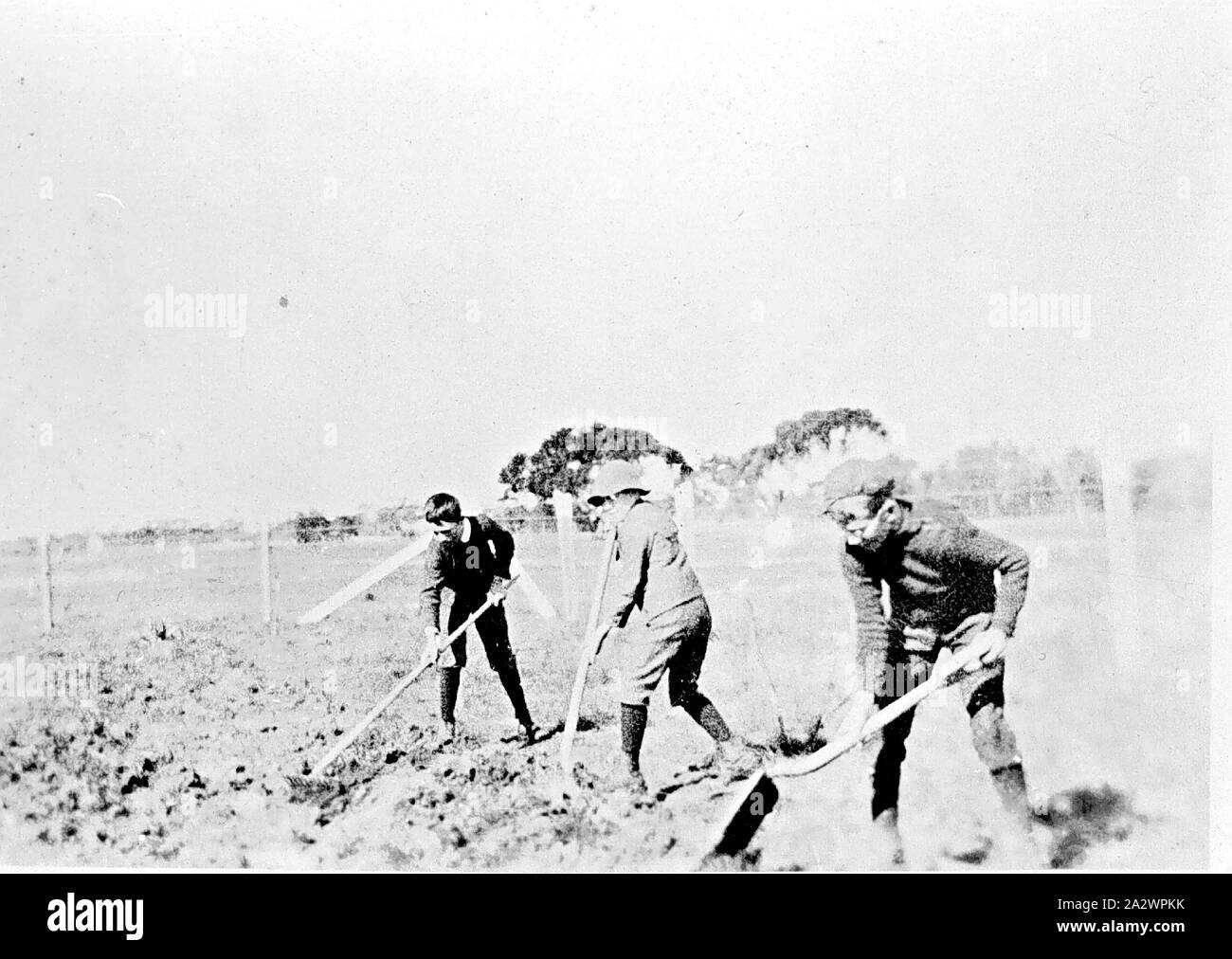 Three school boys digging hi-res stock photography and images - Alamy