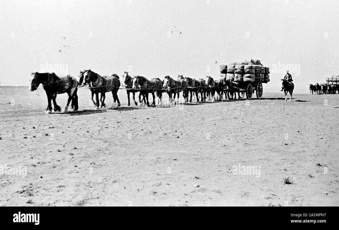 Wagon carrying wool bales hi-res stock photography and images - Alamy