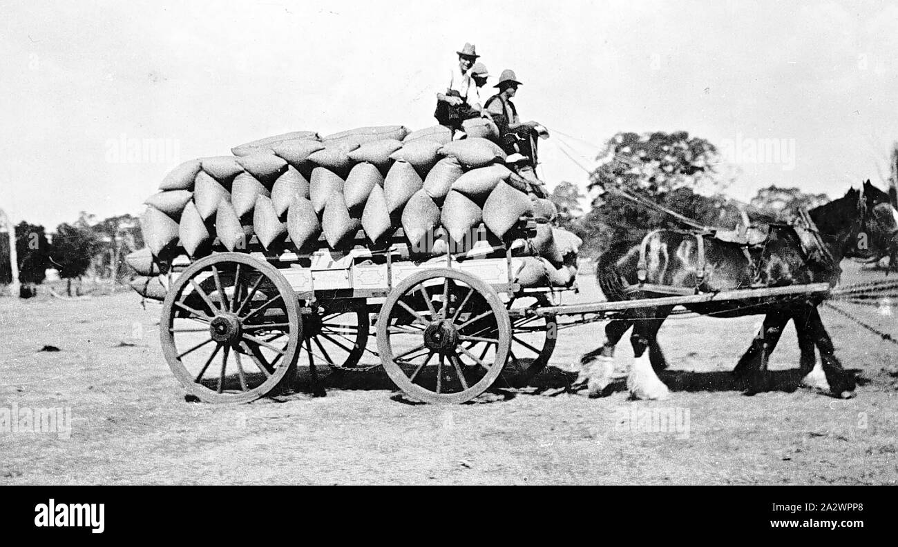 Man on wagon hi-res stock photography and images - Alamy