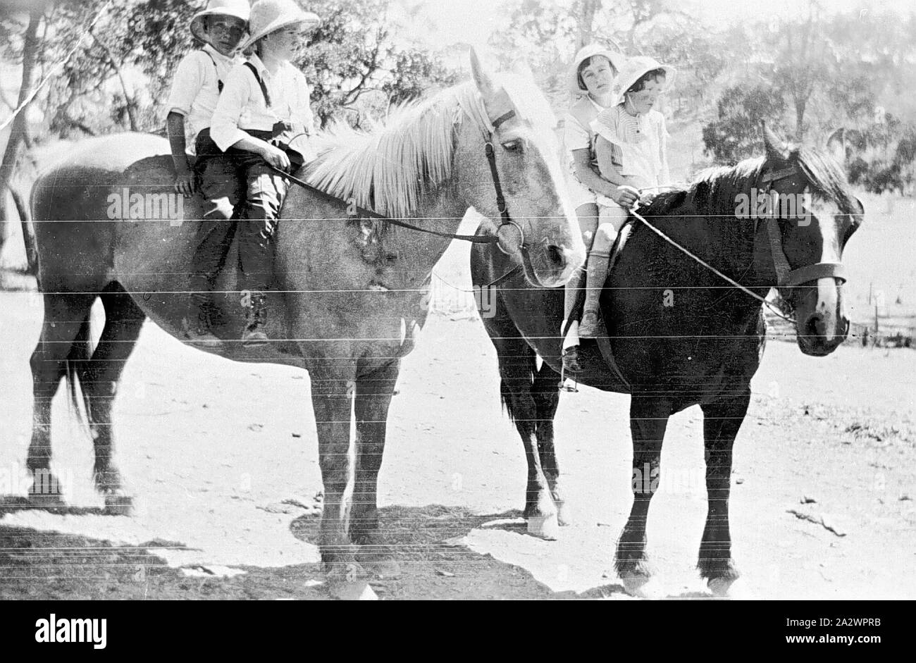 Negative - Mittyack, Victoria, circa 1935, Four children riding to ...
