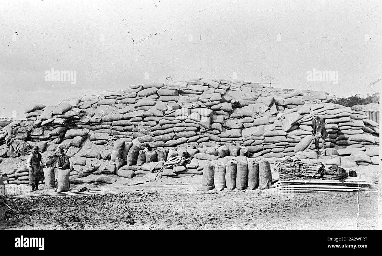 Negative - Cocamba, Victoria, circa 1920, Men bagging grain after ...