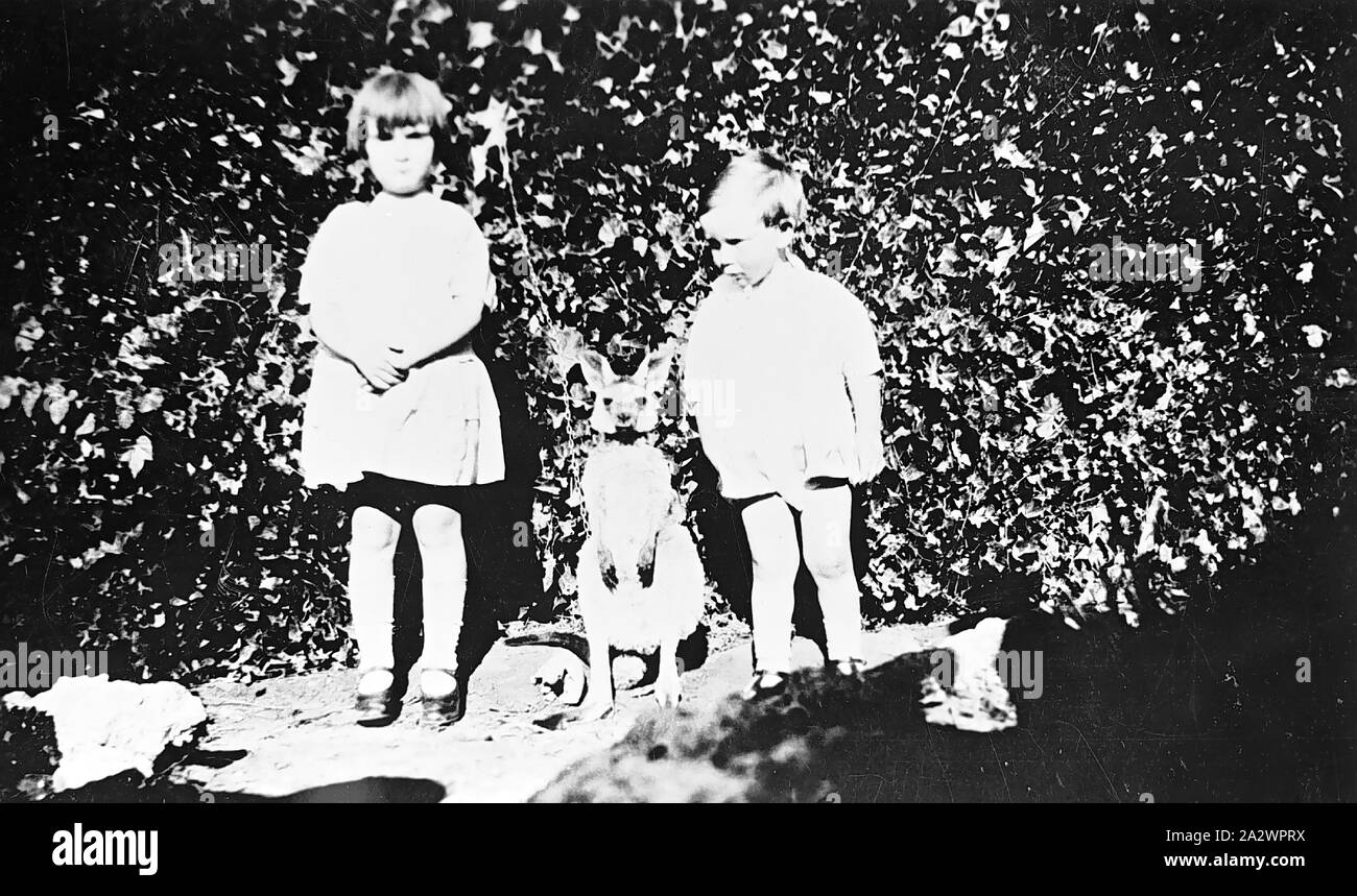 Negative - Manangatang, Victoria, circa 1930, A young girl and boy with ...