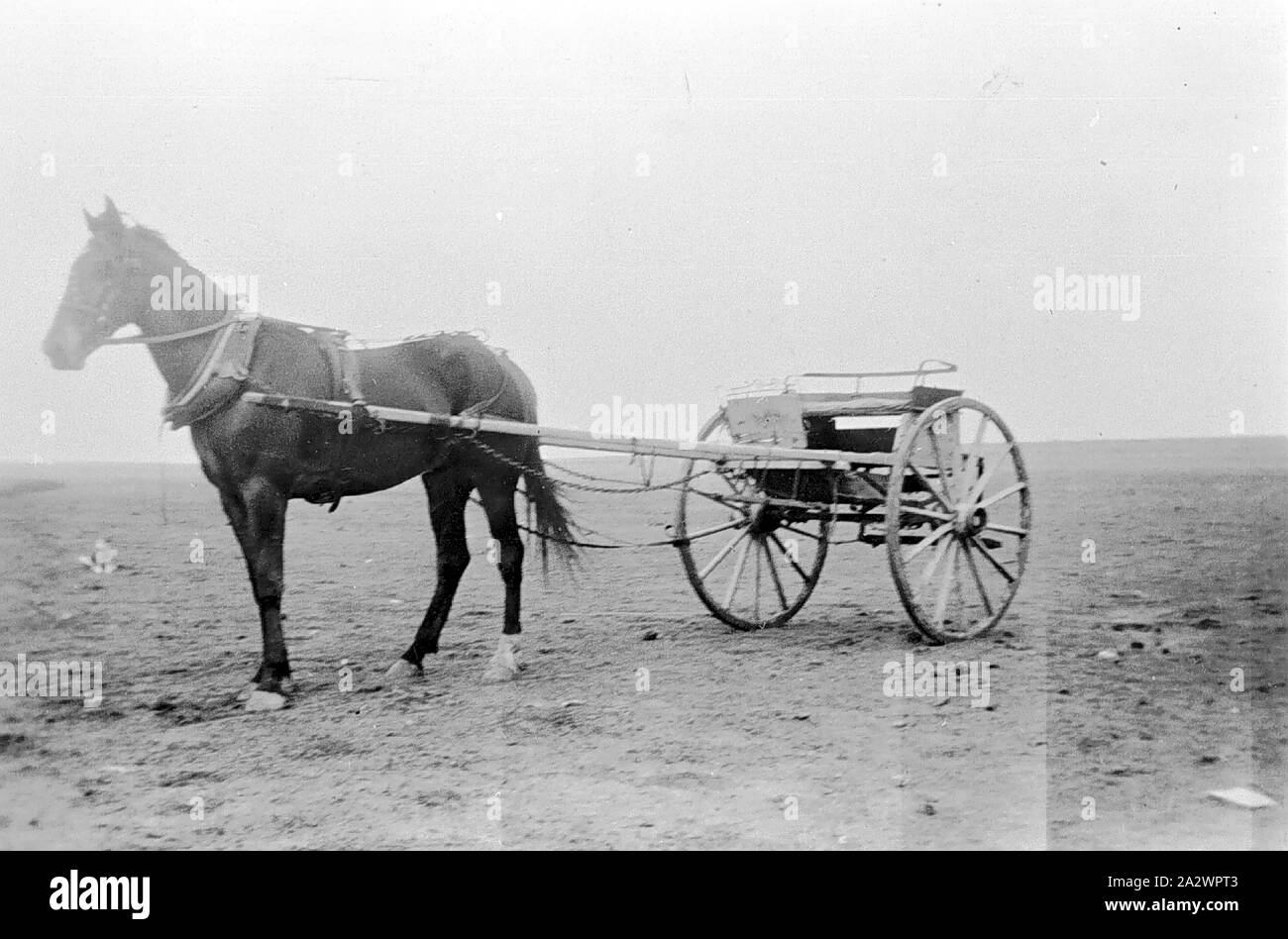 Negative - Manangatang, Victoria, circa 1925, A horse and cart Stock ...