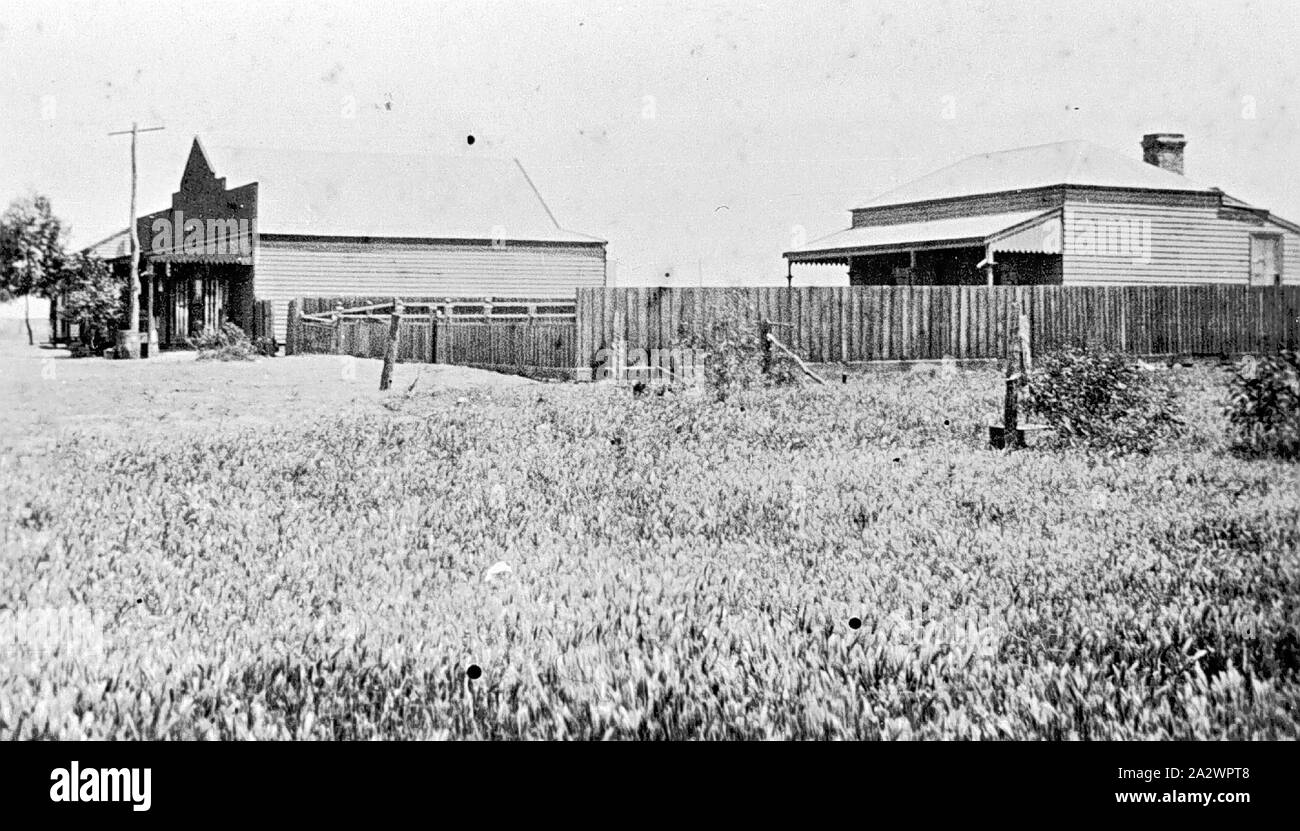 Negative - Nandaly, Victoria, by Bill Boyd, 1919, Black and white ...