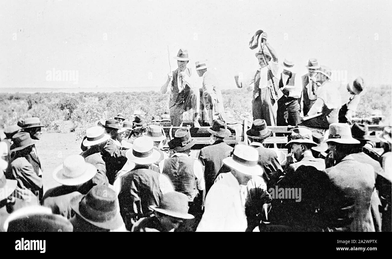 Negative - Nandaly, Victoria, by Bill Boyd, 1920, Black and white ...