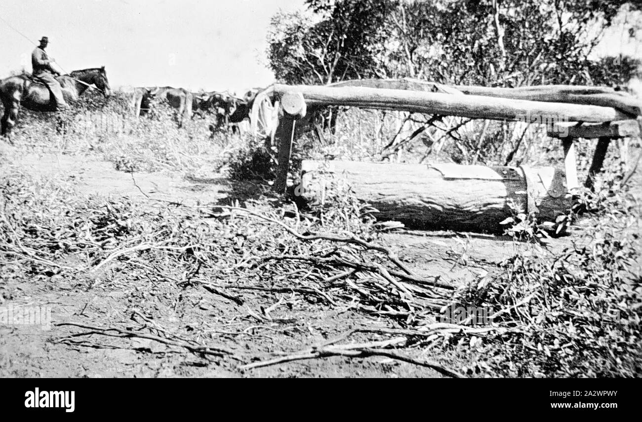 Negative - Nandaly, Bimbourie, Victoria, by Bill Boyd, 1920, Black and ...