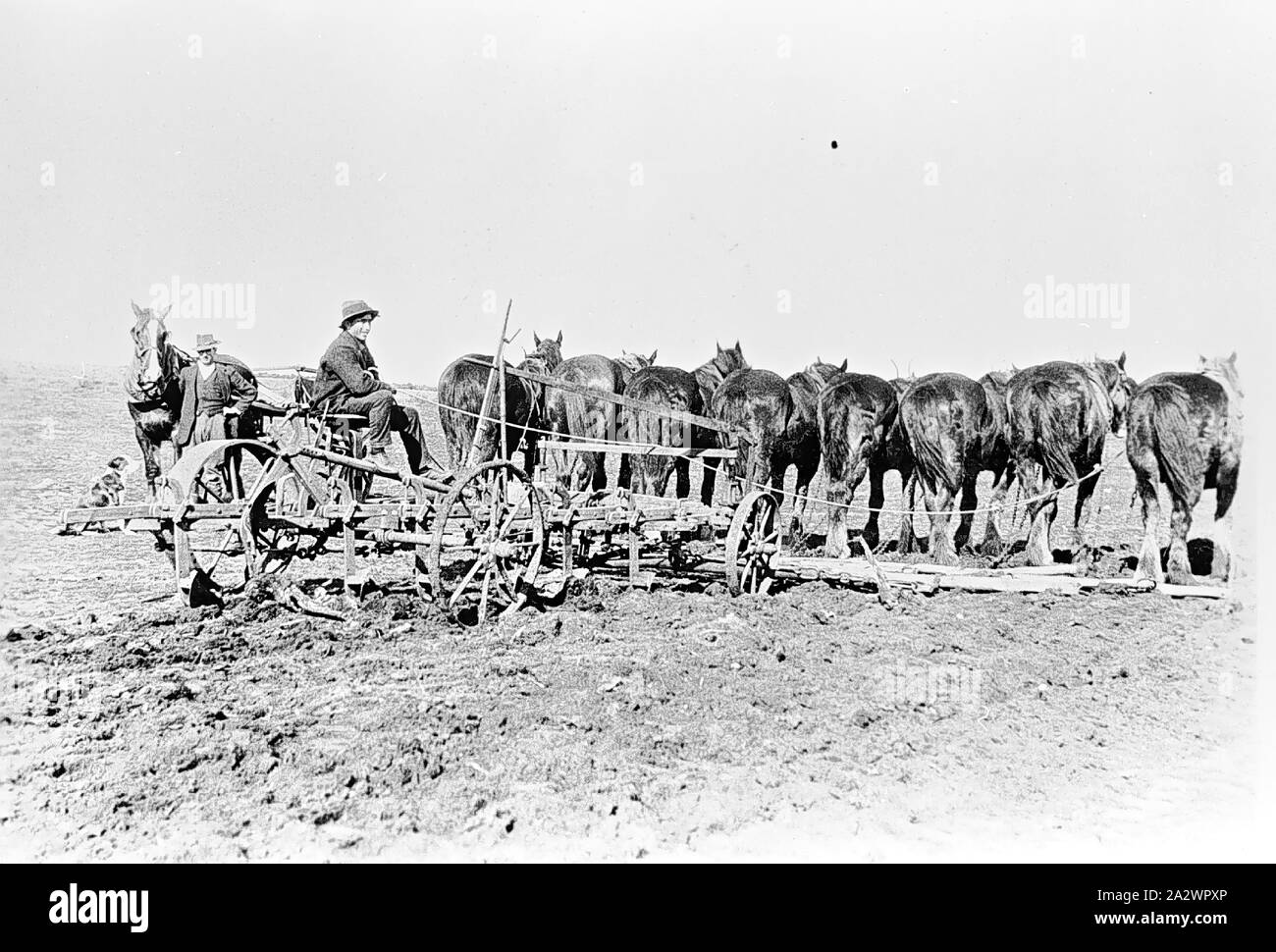Negative - Nandaly District, Victoria, by Bill Boyd, 1922, Black and ...