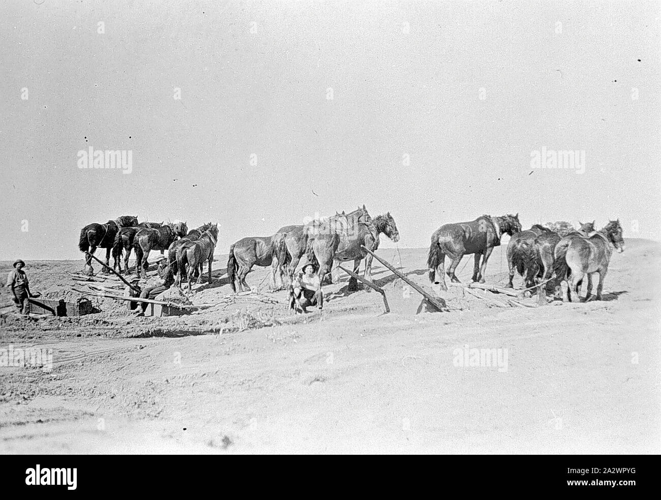 Negative - Nandaly District, Victoria, by Bill Boyd, 1922, Black and ...