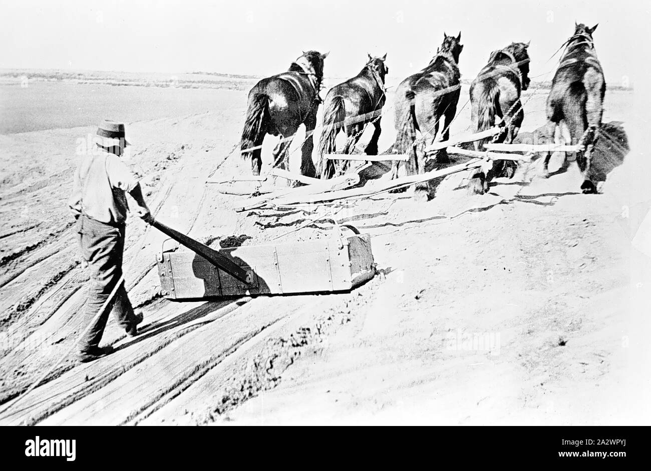 Two metre buck scraper hi-res stock photography and images - Alamy