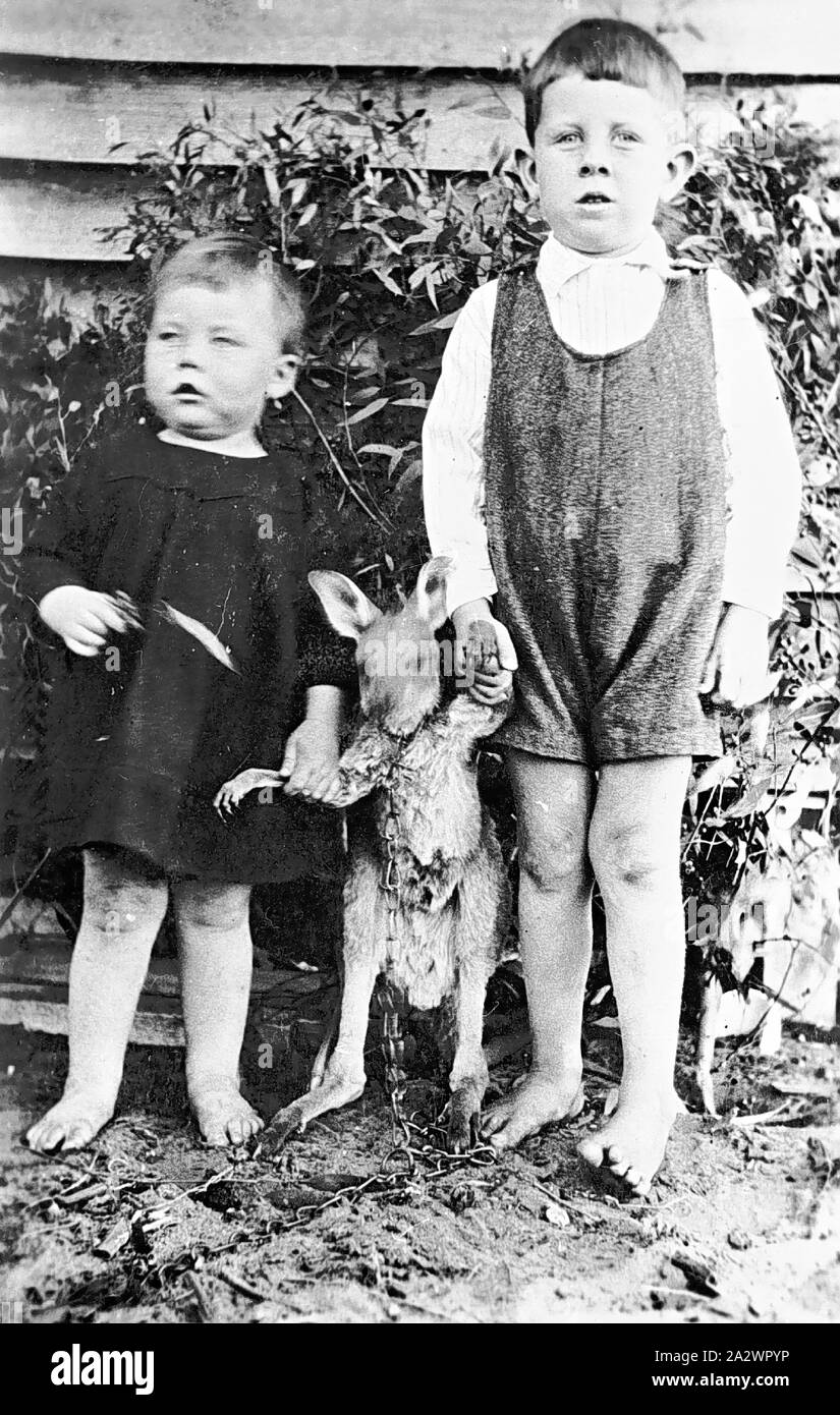 Negative - Nandaly District, Victoria, by Bill Boyd, 1922, Black and ...