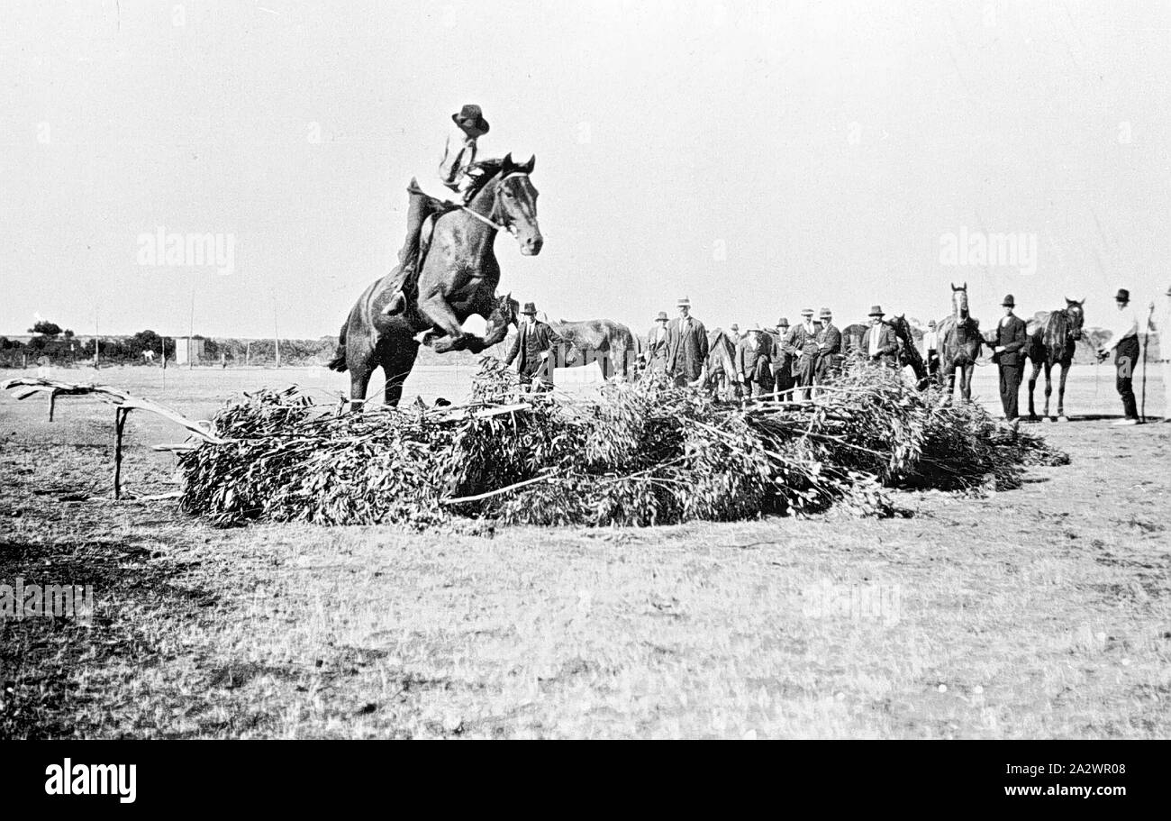 Negative - Nandaly, Victoria, by Bill Boyd, 1922, Black and white ...