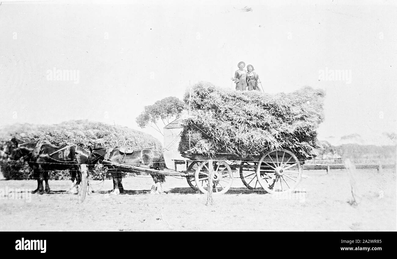Hay cart hi-res stock photography and images - Alamy